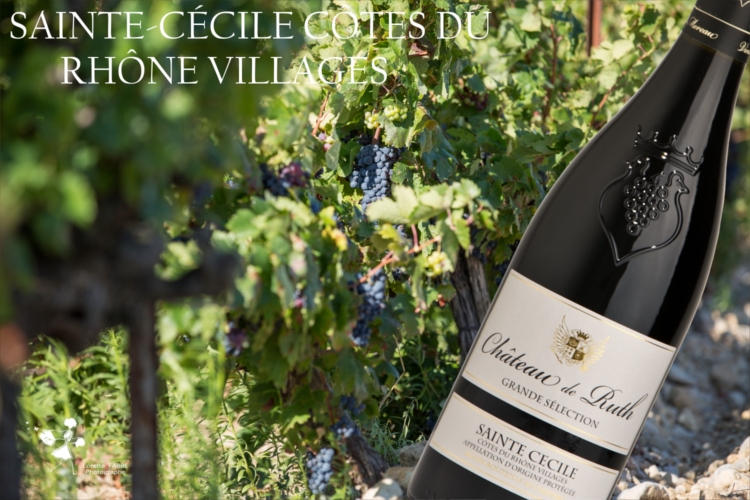 Les Vins du Château de Ruth